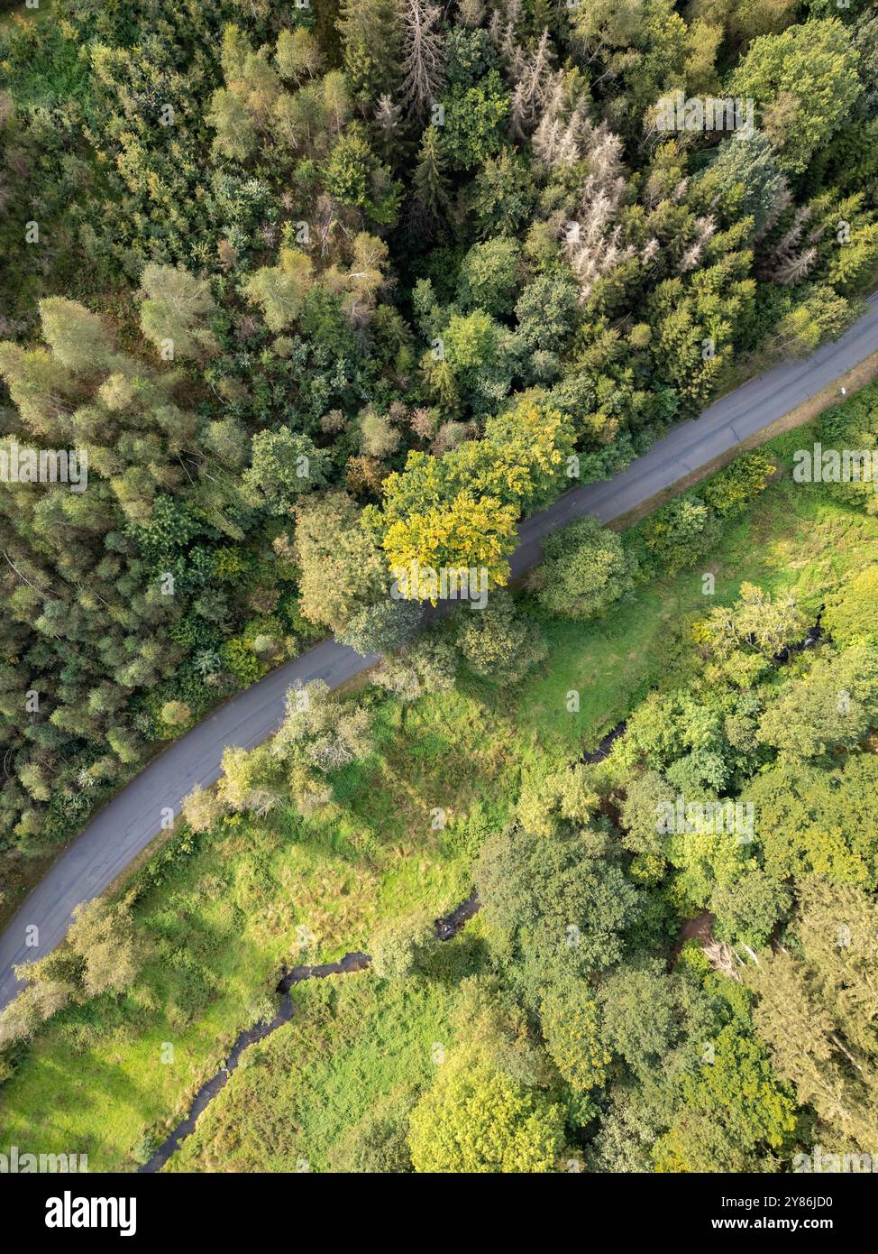 Aerial view shows a winding road meandering through vibrant green ...