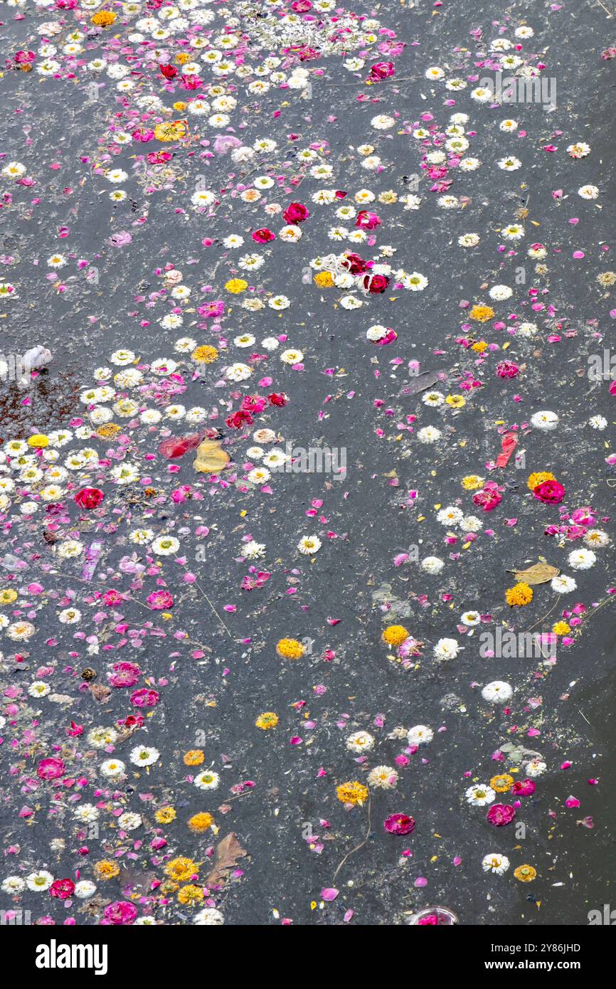 dirty river filled with flowers and religious waste at morning Stock ...
