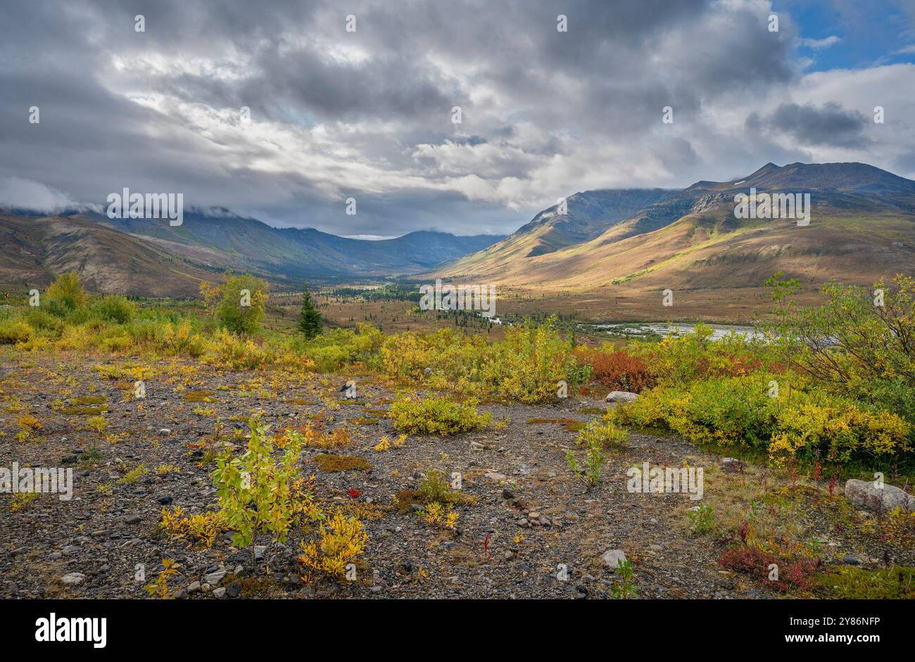 Fall vegetation at the North Fork Pass in Tombstone Territorial Park ...