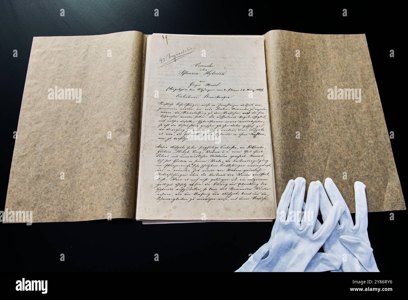 Brno, Czech Republic. 03rd Oct, 2024. Gregor Johann Mendel's manuscript ...
