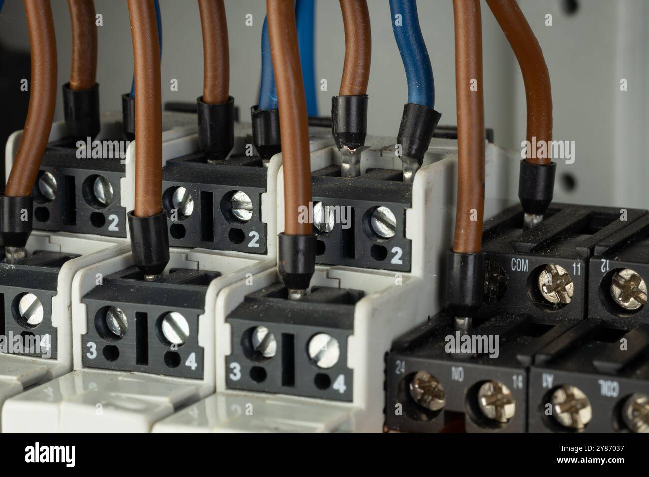 Close up of electrical terminal blocks with connected wires Stock Photo ...