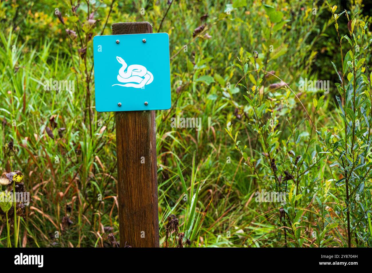 A caution sign warning, Watch out for snakes, stands against the ...