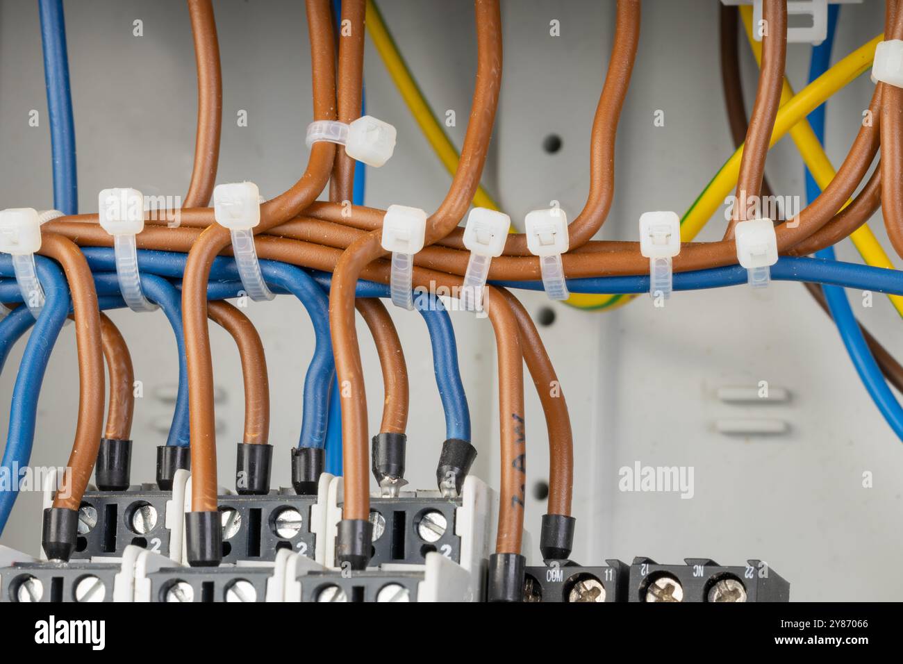 Organized wiring and cables in an electrical control panel Stock Photo ...