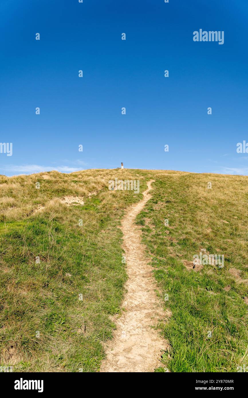 Vertical path in the Swiss Alps Stock Photo - Alamy