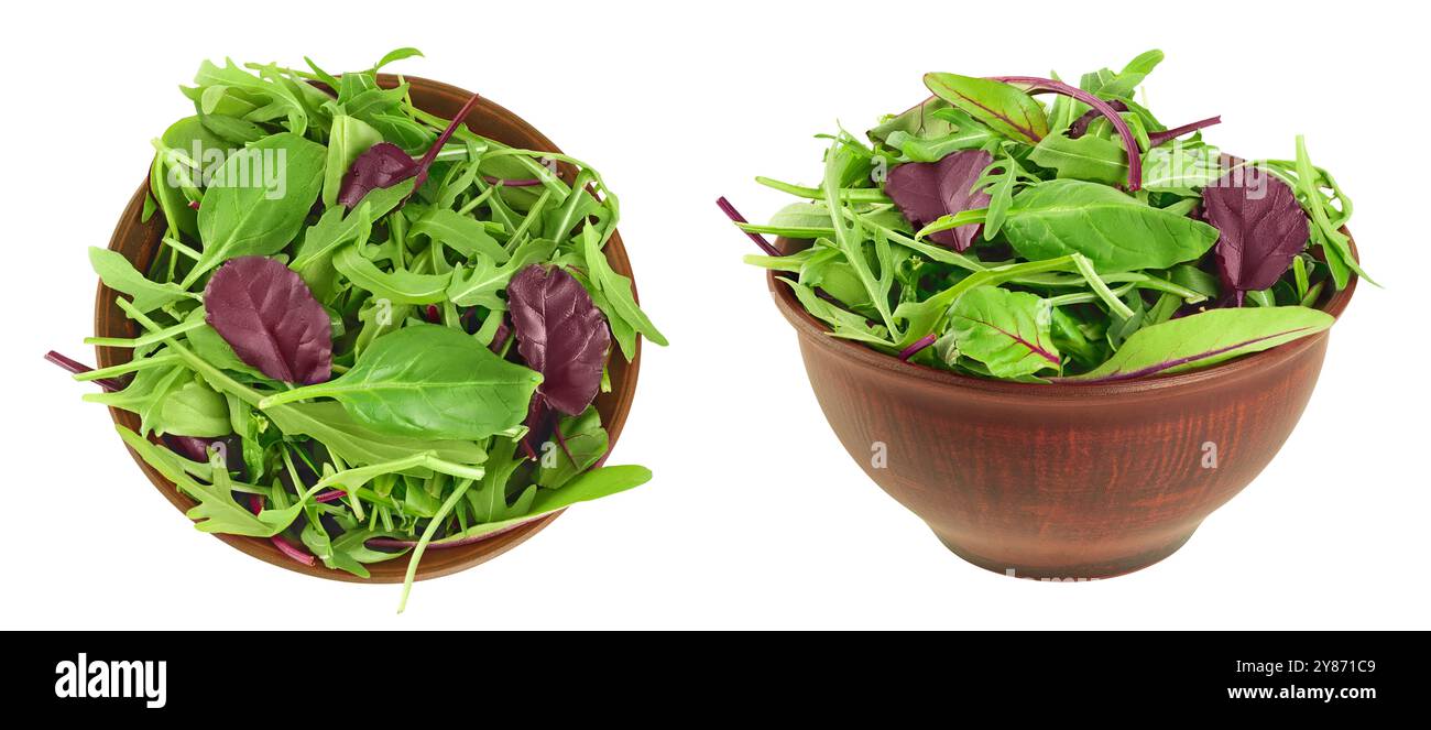 Mix salad - arugula, spinach and chard in the bowl isolated on white ...