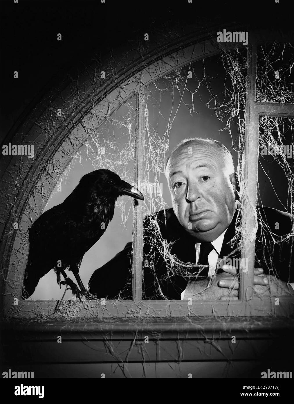 Portrait photo of the film director Alfred Hitchcock - publicity photo ...