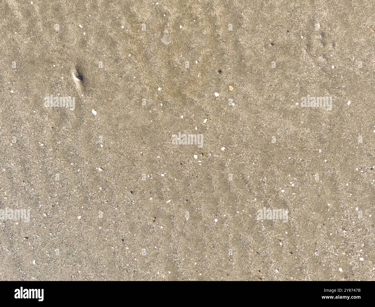 Clean grainy wet sand background with holes and stones Stock Photo - Alamy