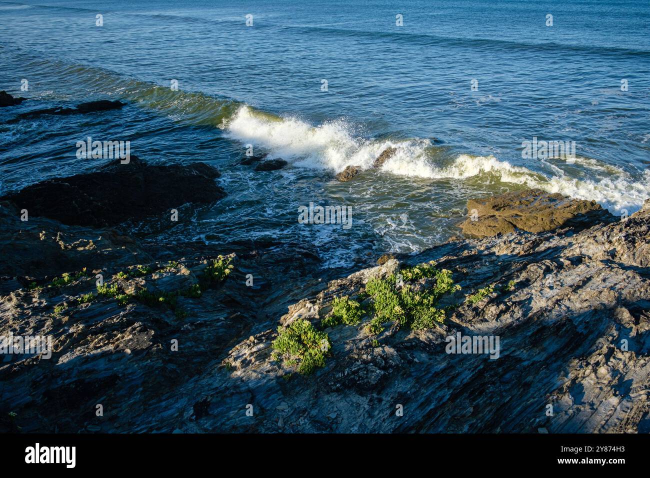 View of the ocean with a wave at high tide from the shore Stock Photo ...