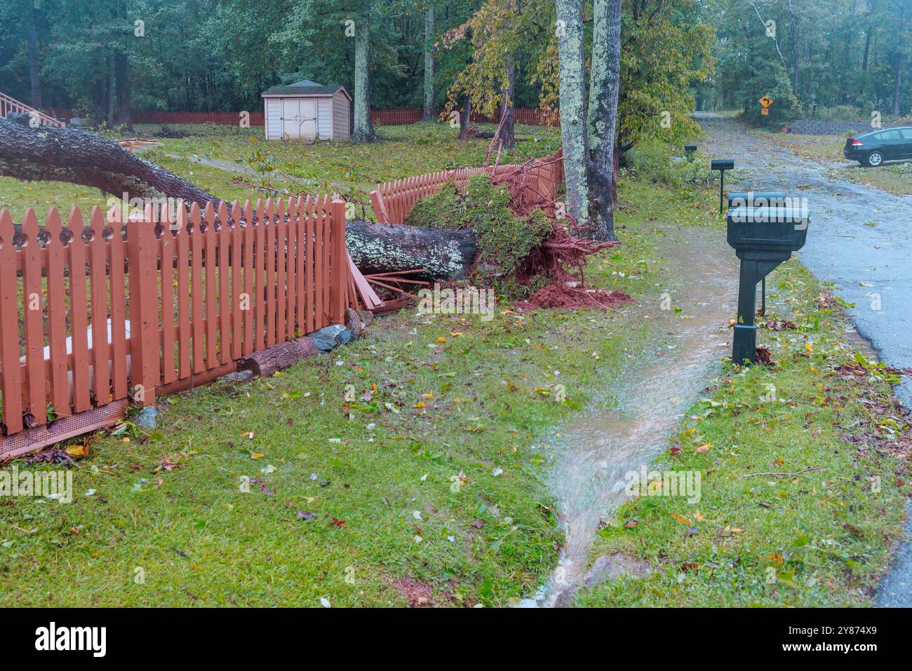 Hurricane damage to fences around houses caused by fallen trees during ...