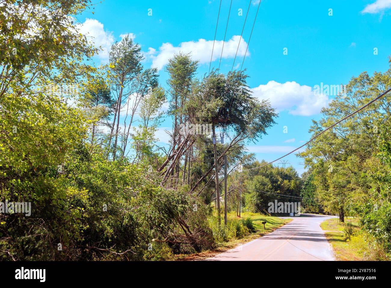 Tree is blown down by tropical storm hurricane, breaking electrical ...