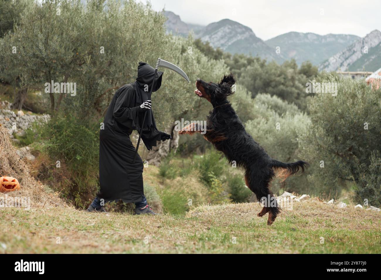 A dog jumps playfully in front of a person dressed in a dark Halloween ...