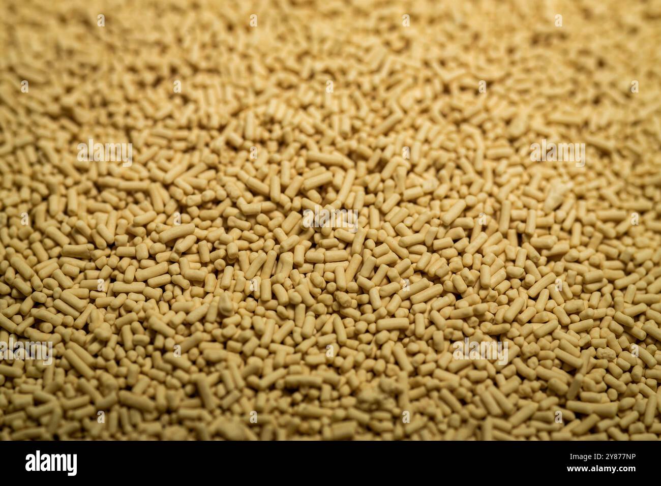 dry yeast granulated close up , texture , macro Stock Photo - Alamy