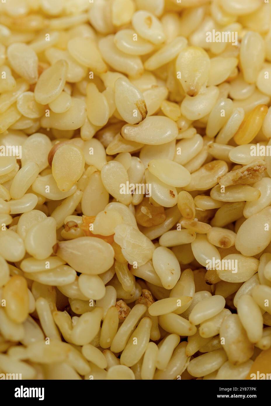 pile of sesame seeds close up , texture , macro Stock Photo - Alamy