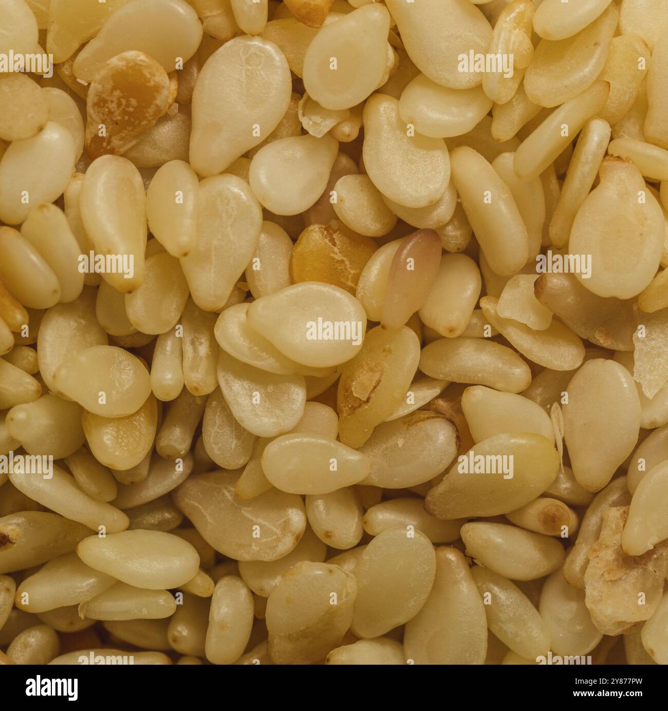 Sesame macro hi-res stock photography and images - Alamy