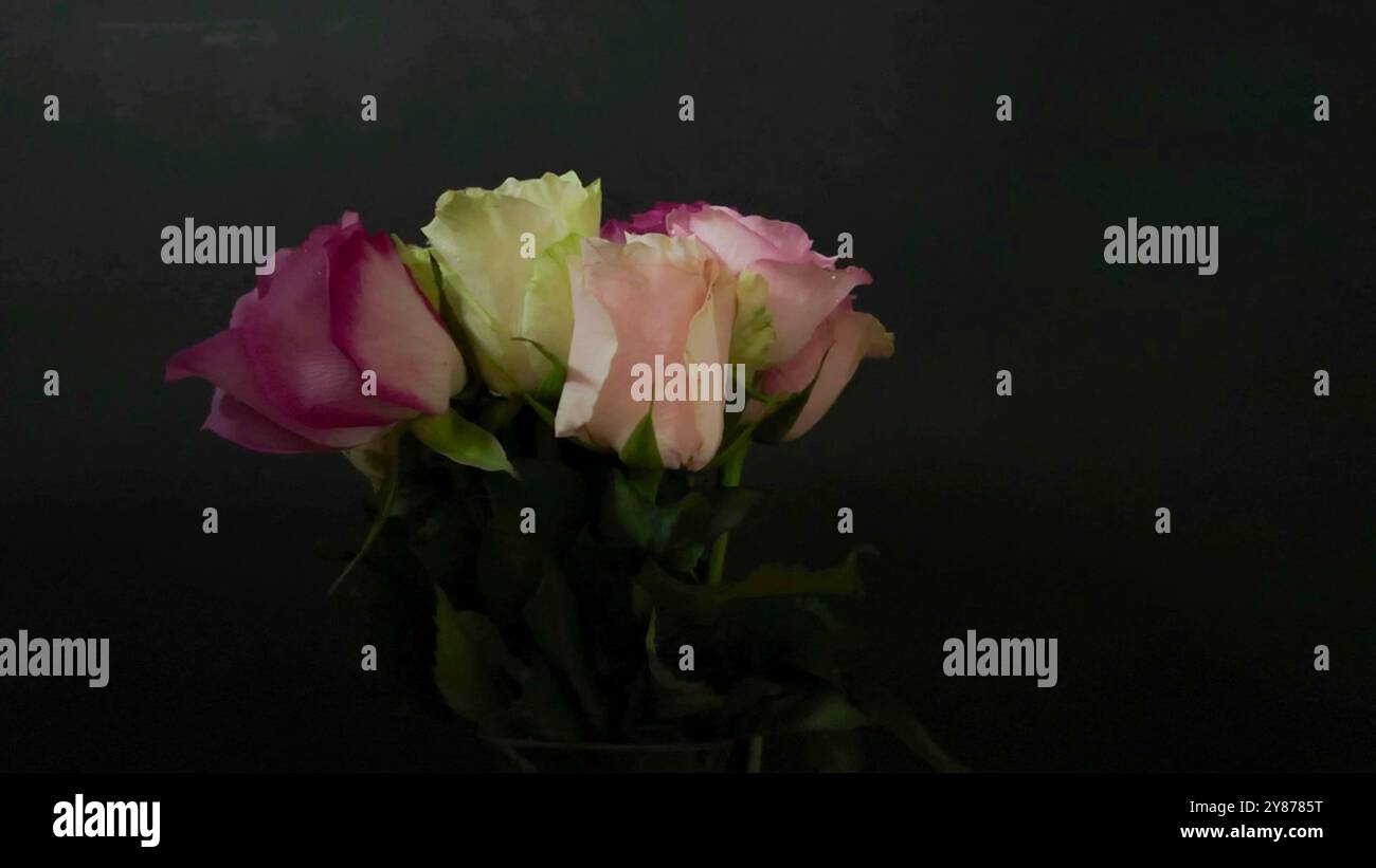 Close up flower bouquet rotation hi-res stock photography and images ...