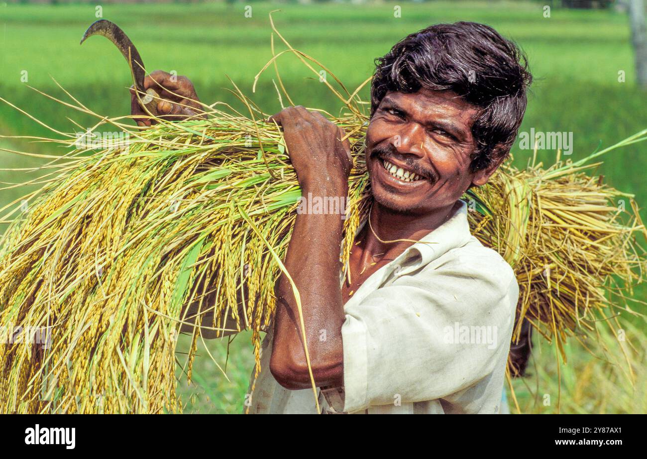 Bangladesh; portrait of a farmer carrying a bundle of harvested rice on ...