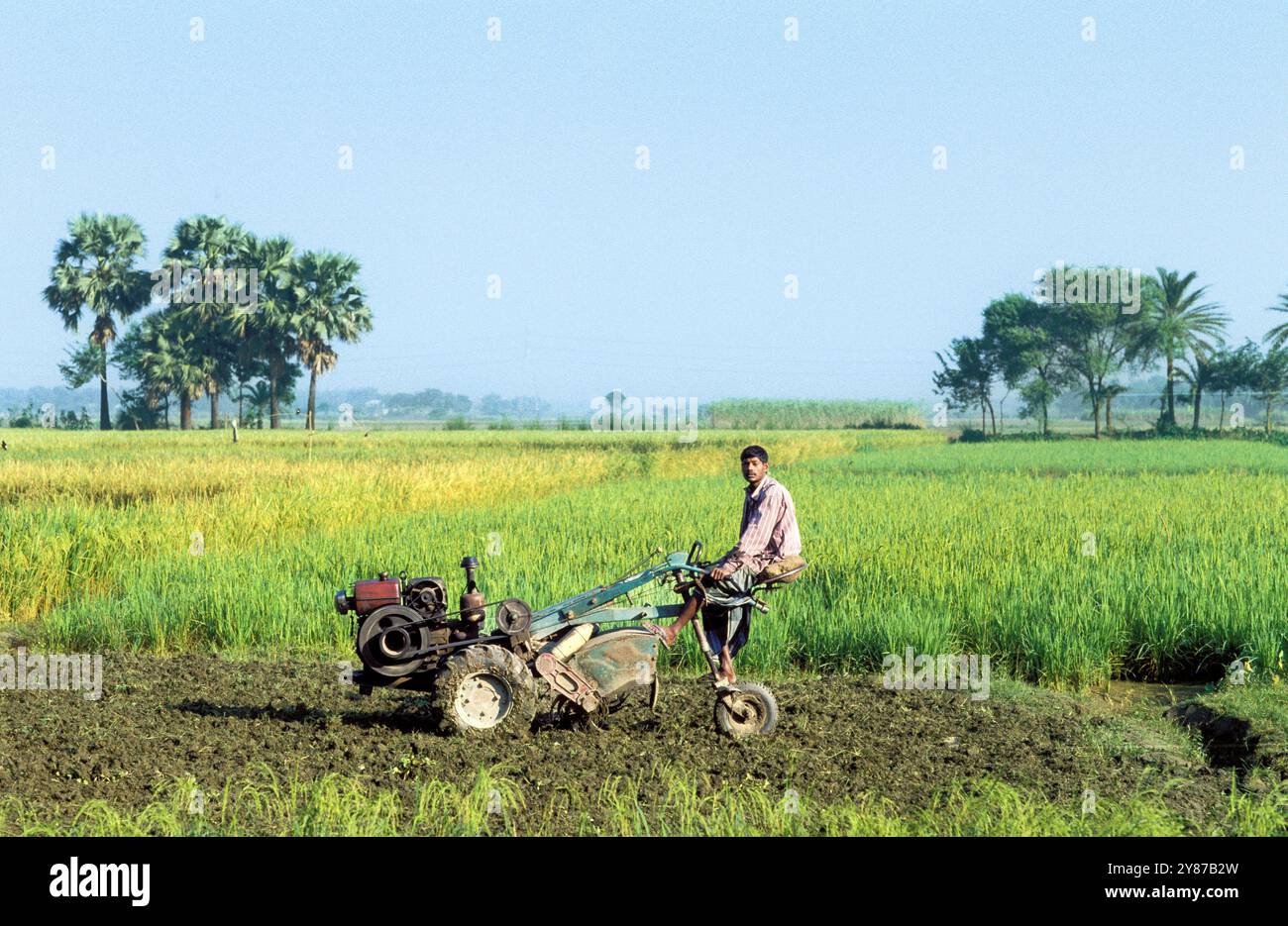 Farmer plowing rice field tractor hi-res stock photography and images ...