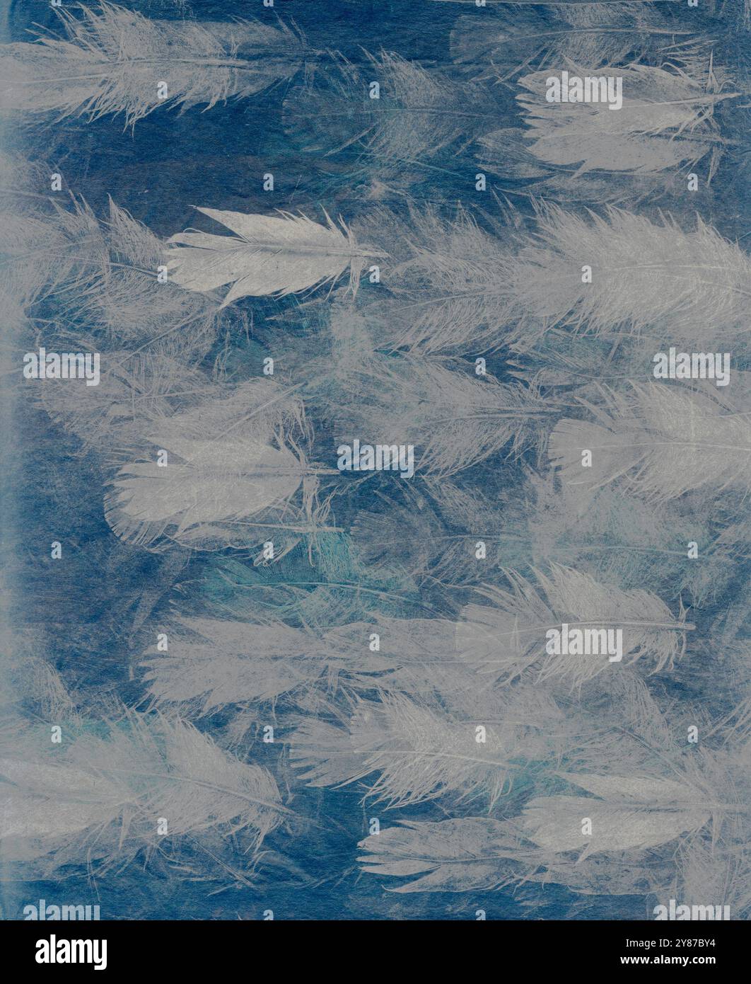 Chalk artwork, white feathers, arranged on pale blue background ...