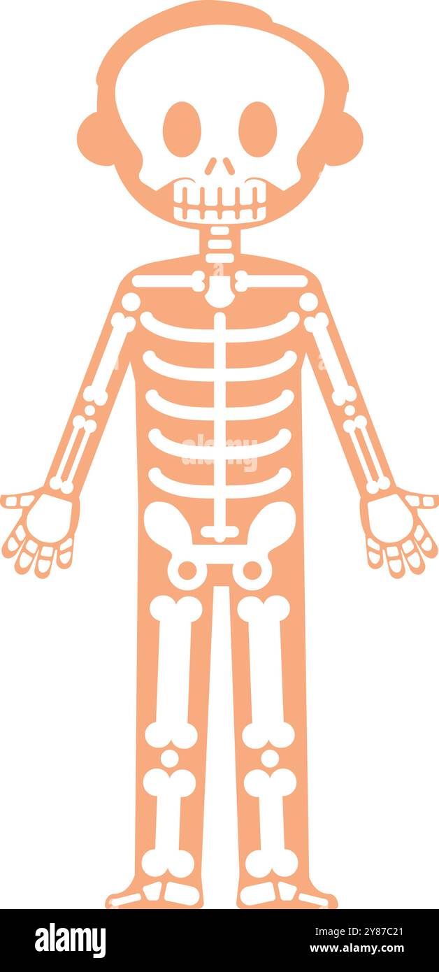 Kid body with skeleton. Child anatomy medical illustration Stock Vector ...