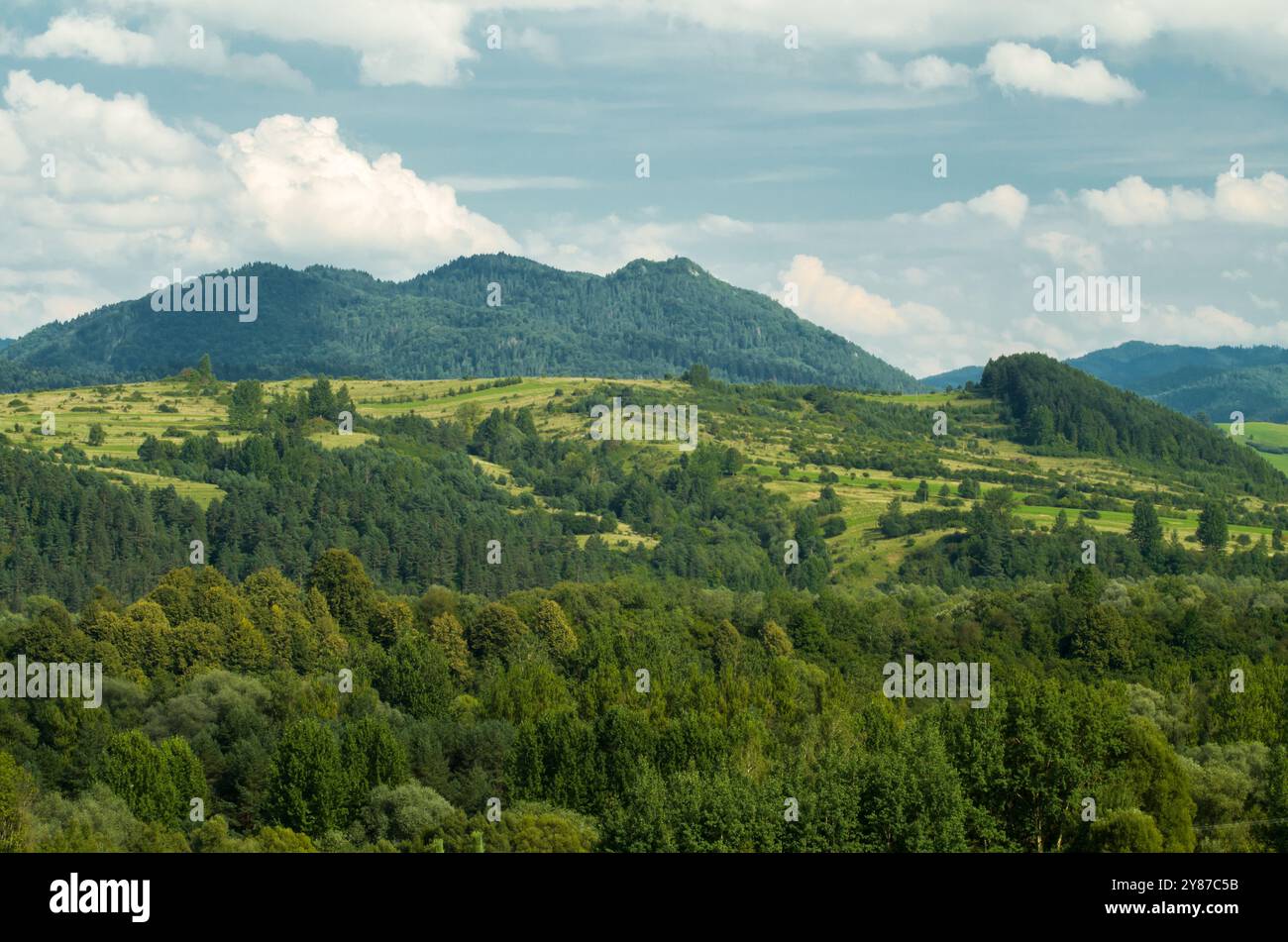 Pieninski national park hi-res stock photography and images - Alamy