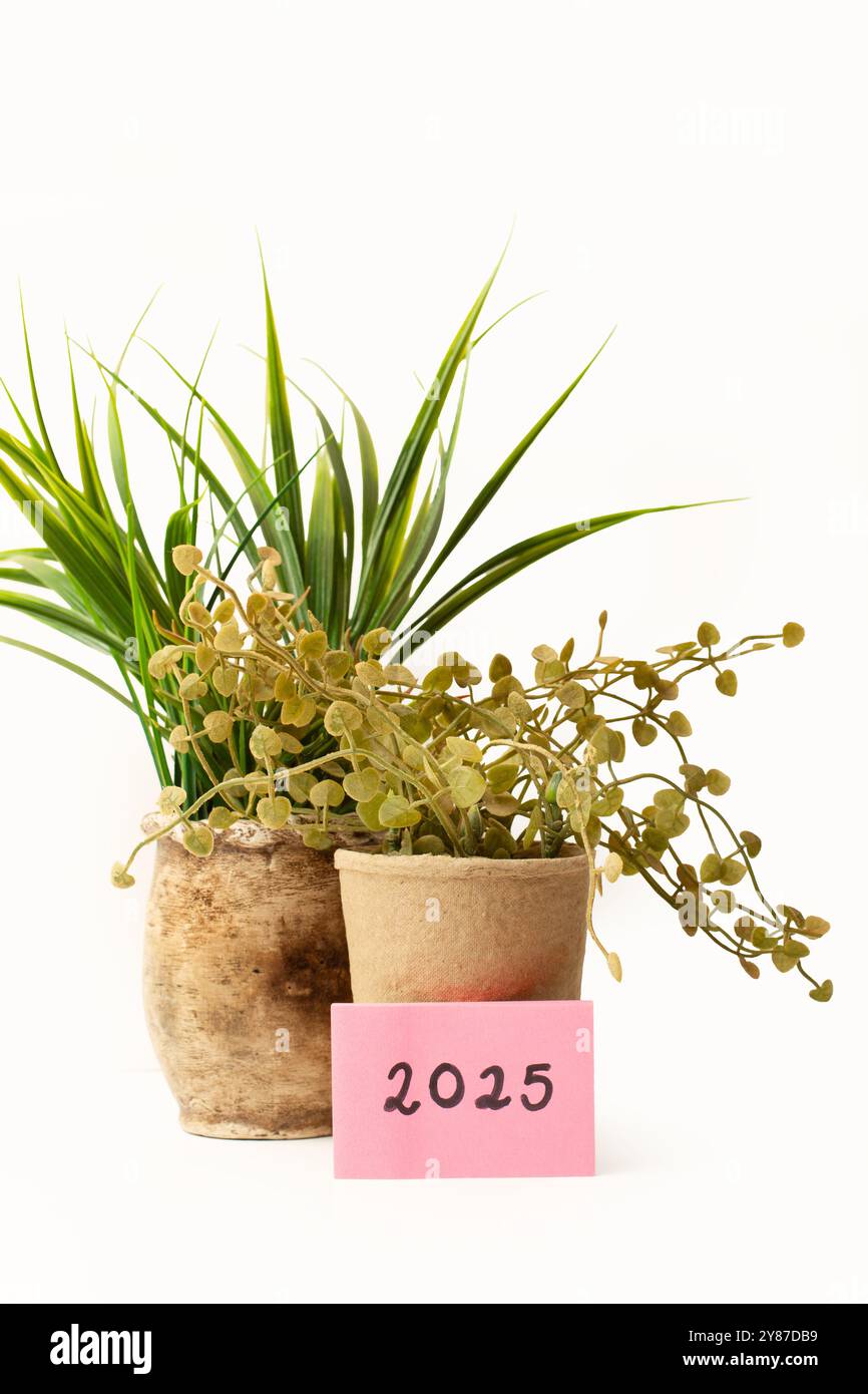 New year 2025 handwritten Cut Out Stock Images & Pictures - Alamy