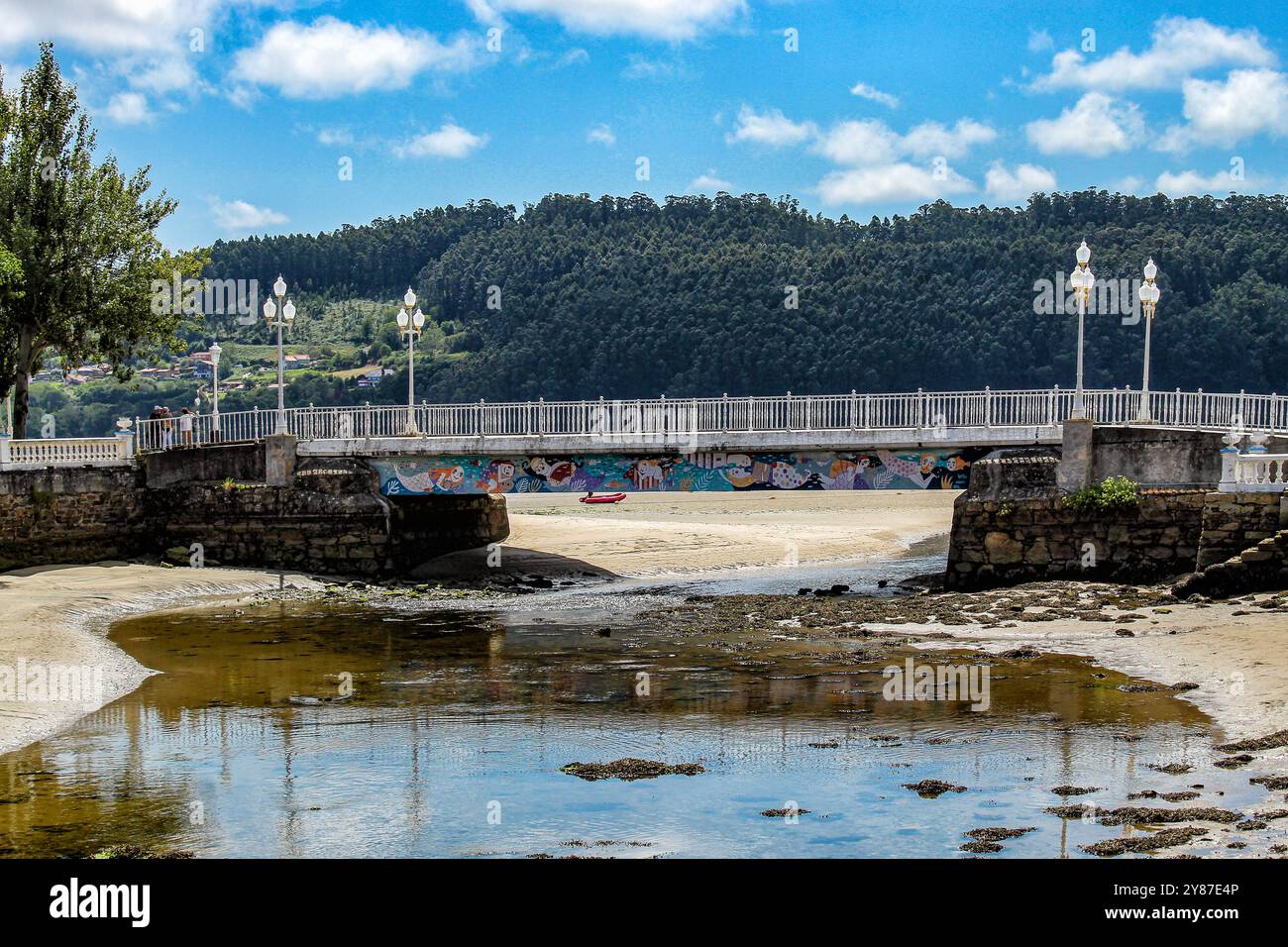 Summer serenity: Coastal nature and the sea in Cedeira Stock Photo - Alamy