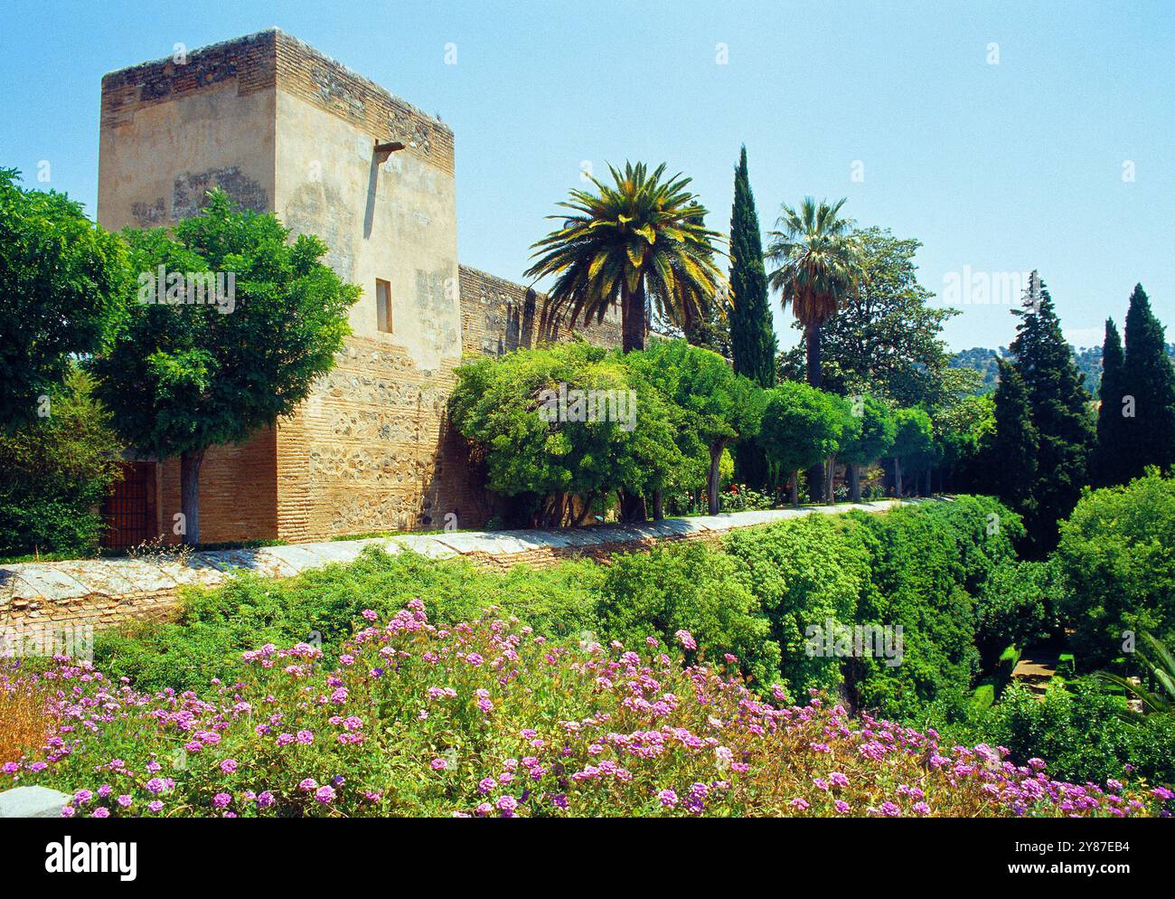 Jardín de la alcazaba hi-res stock photography and images - Alamy
