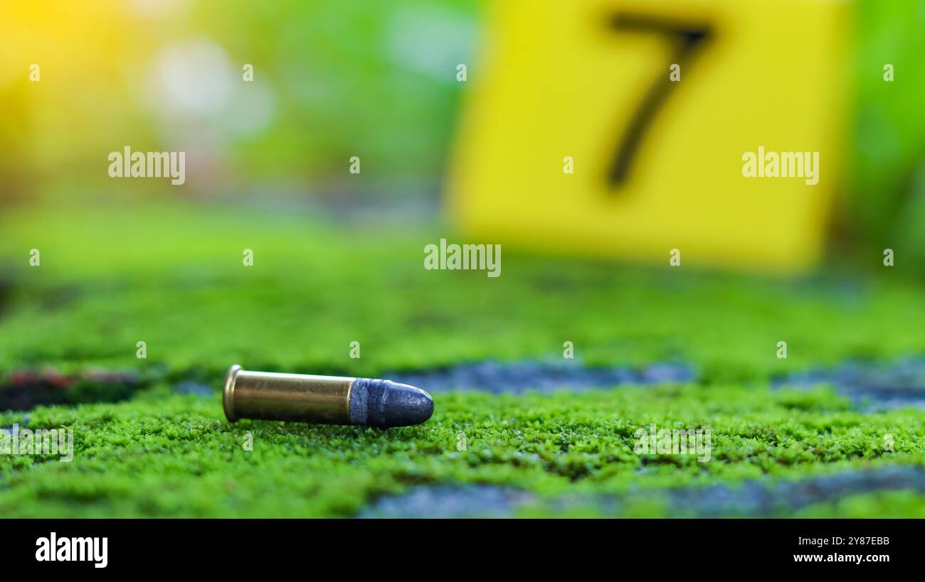 Empty bullet casing on a mossy surface, with a blurred black number 7 ...