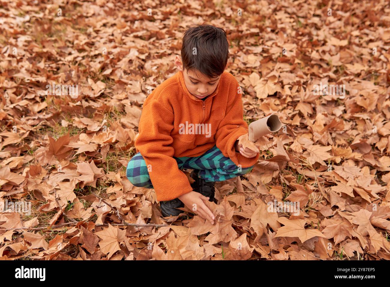 latino boy sitting frontally facing down a pile of dry autumn leaves ...