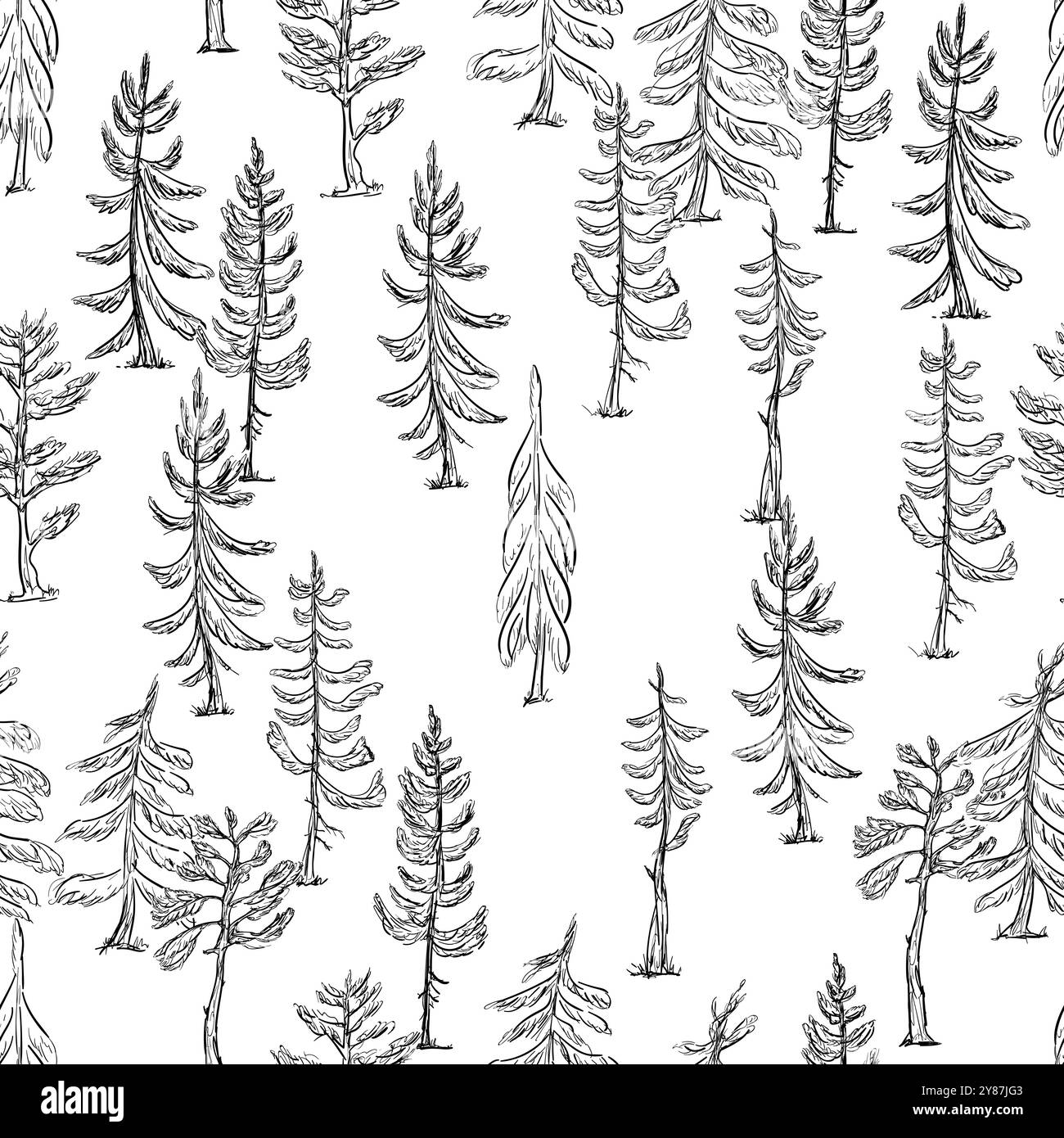A Seamless Pattern featuring outline sketch spruce and pine Trees ...