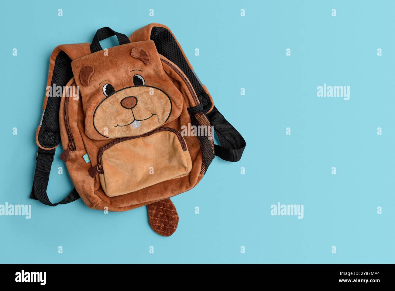 Fluffy backpack shape of beaver with school supplies on blue background ...