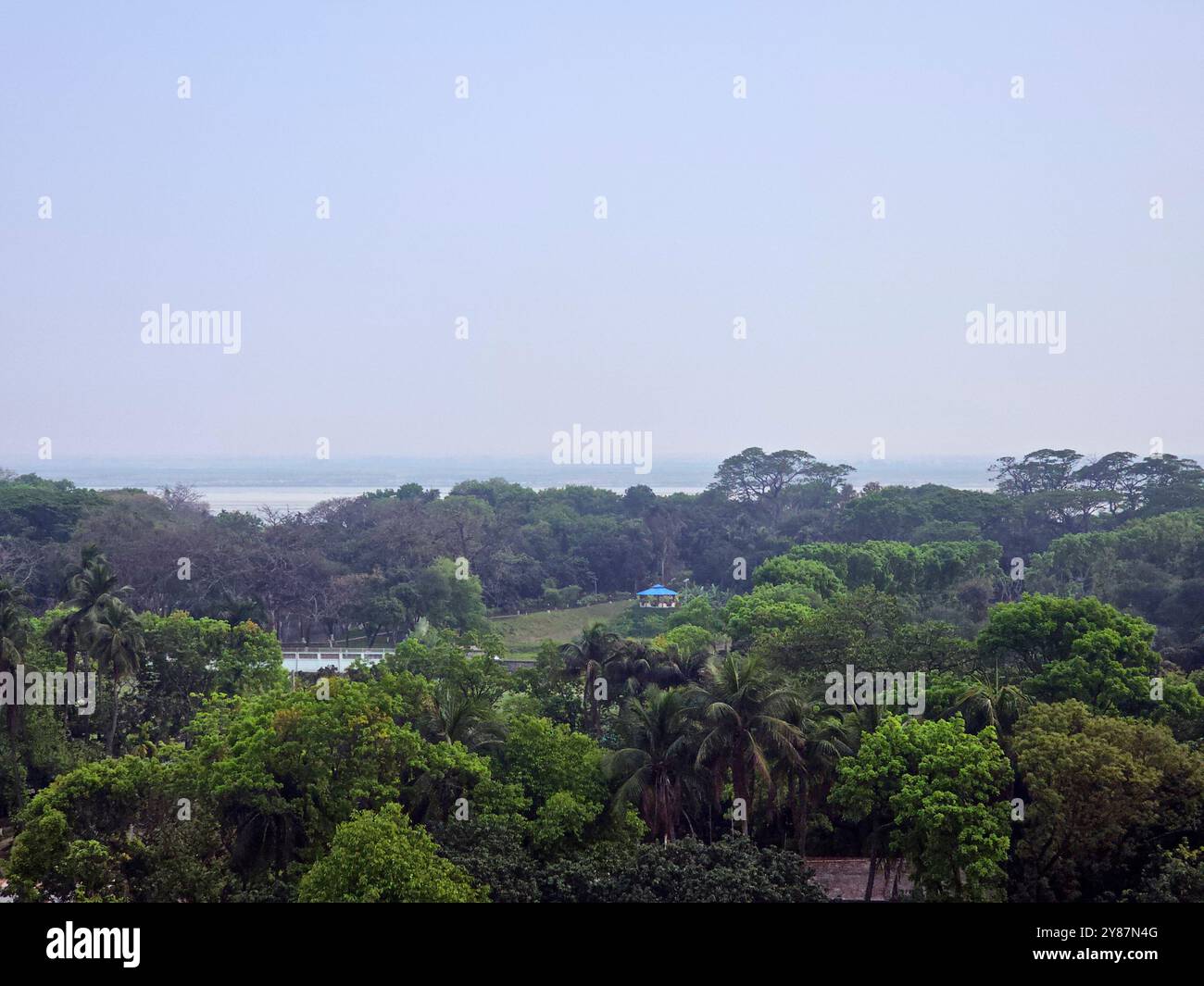 Bangladesh landscape green trees and palm trees top view Stock Photo ...