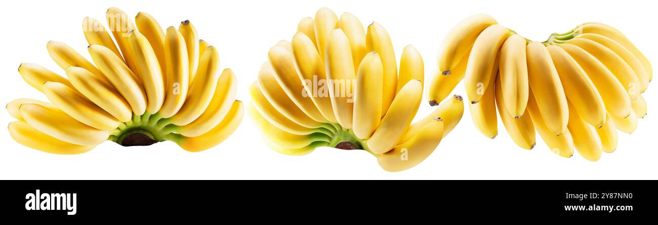 set of the banana branches isolated on a white background Stock Photo ...