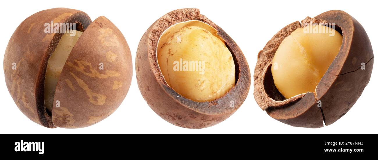 Set macadamia nuts nut hi-res stock photography and images - Alamy