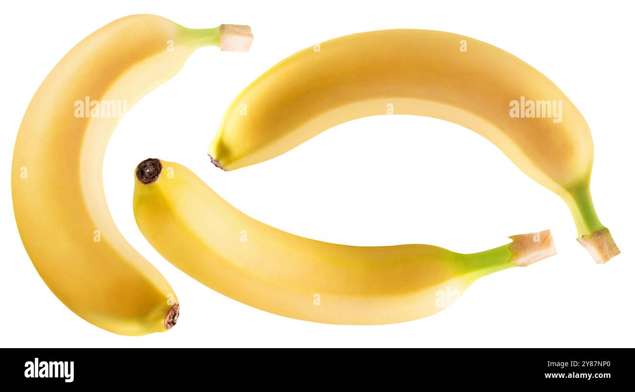 set of the single bananas isolated on a white background Stock Photo ...