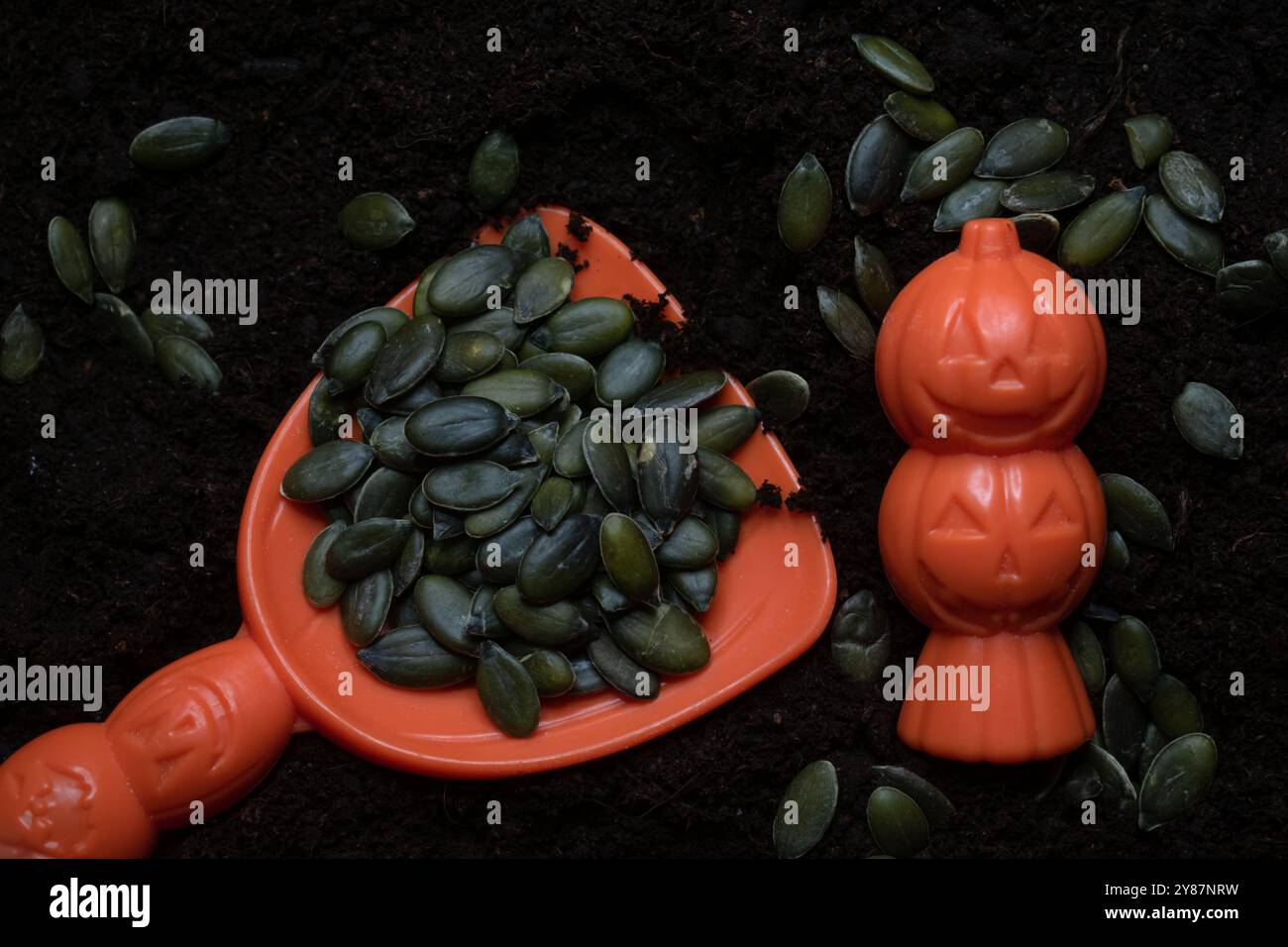Pumpkin seeds and pumpkin orange carving tools on a dark background ...