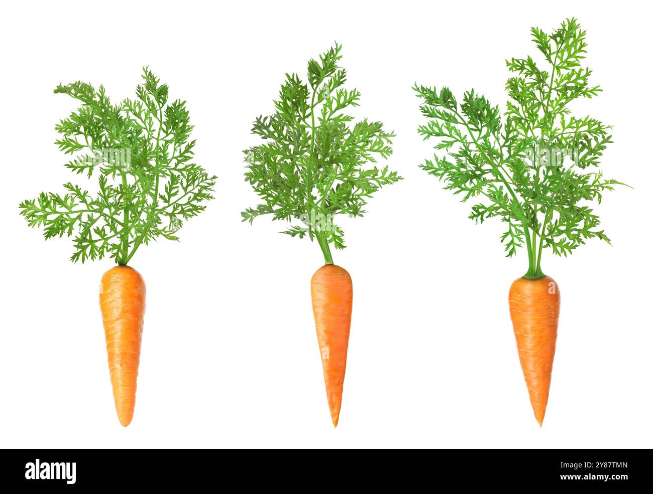 Fresh ripe carrots with green leaves isolated on white, set Stock Photo ...