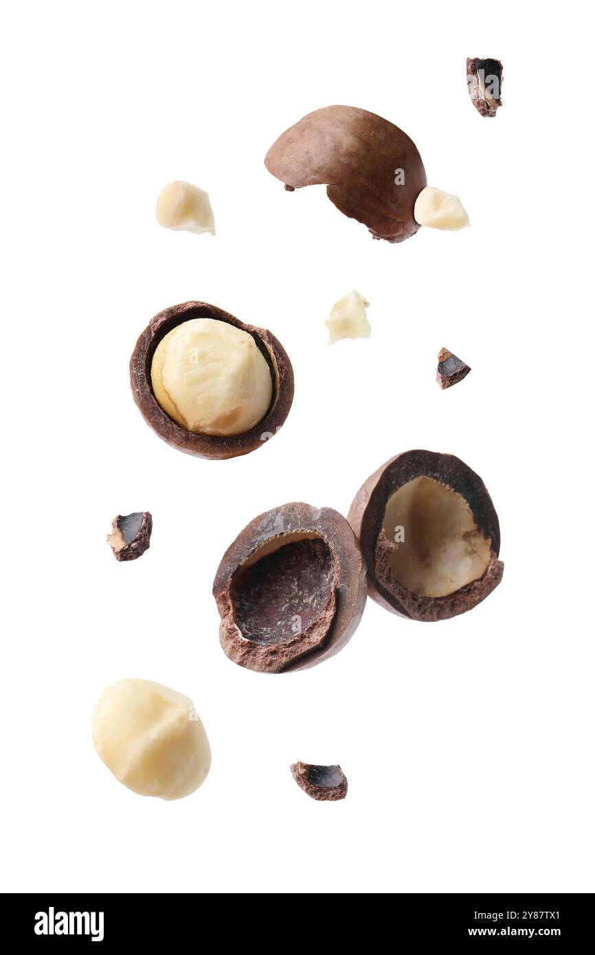 Macadamia nuts and crushed shells in air on white background Stock ...
