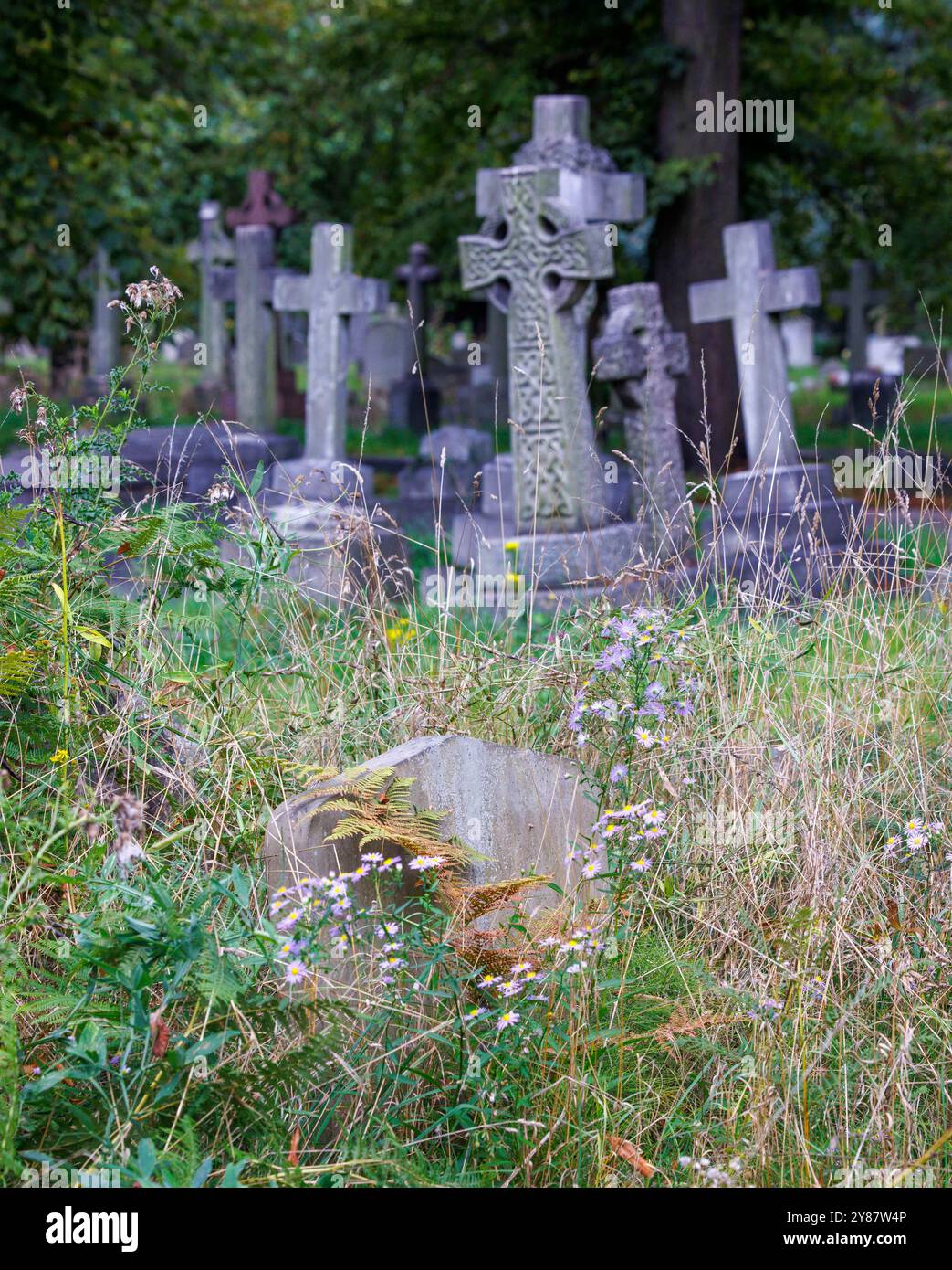 Rewilding cemeteries hi-res stock photography and images - Alamy
