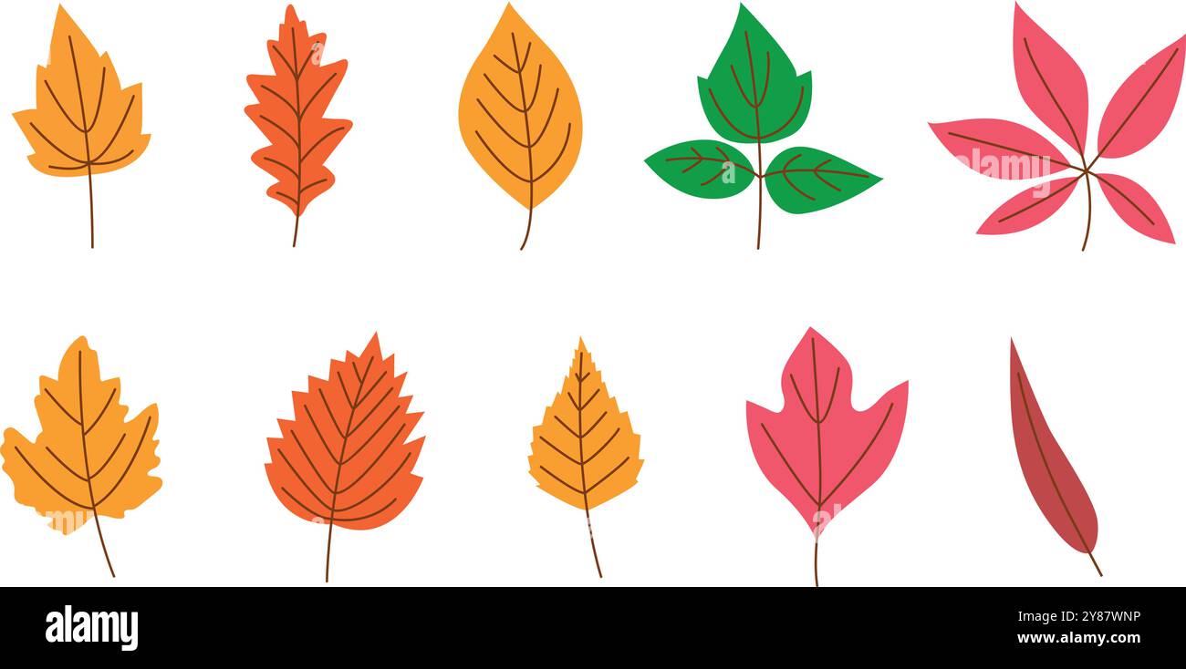 Tree leaf set. Fall season foliage collection Stock Vector Image & Art ...