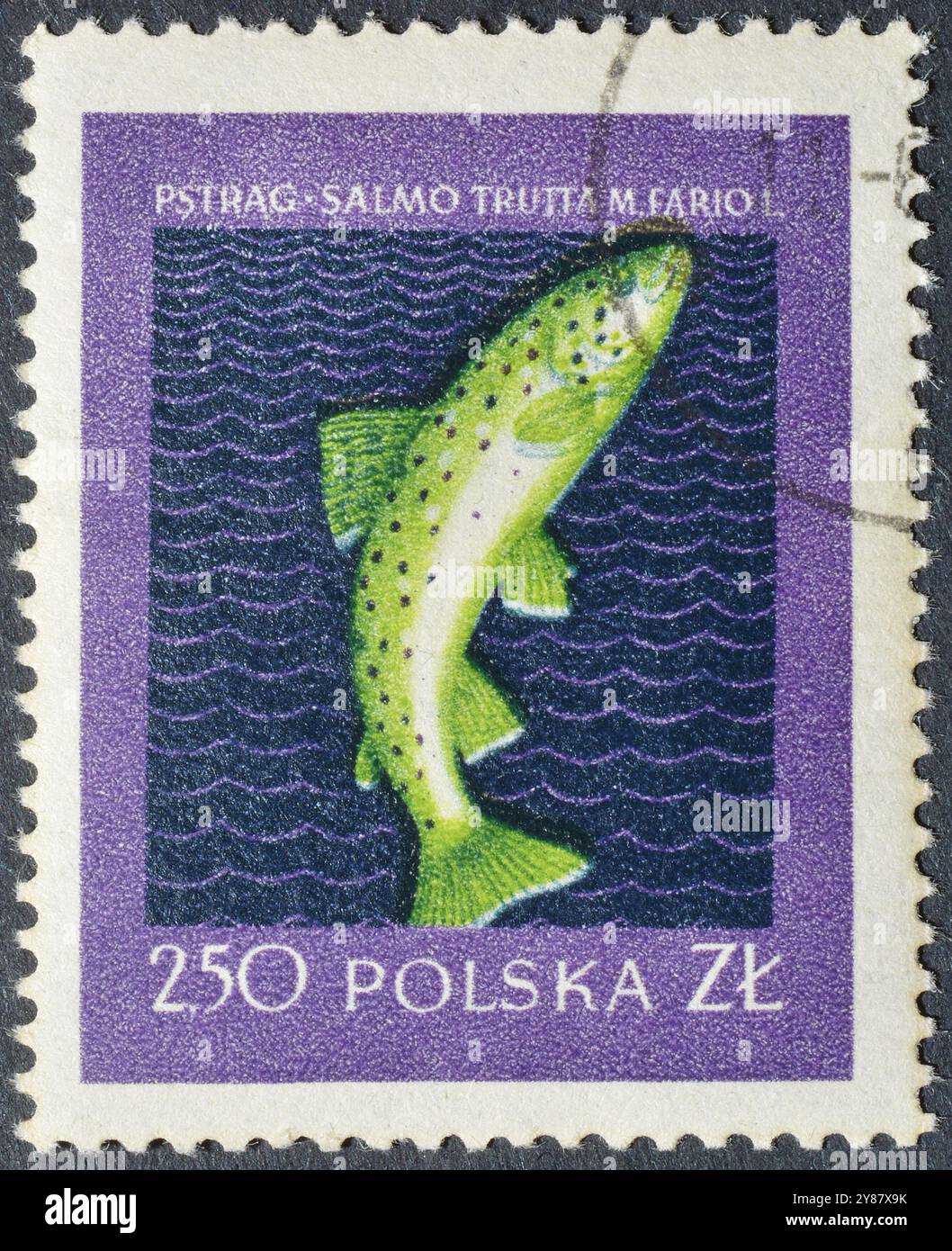 Cancelled postage stamp printed by Poland, that shows River Trout ...