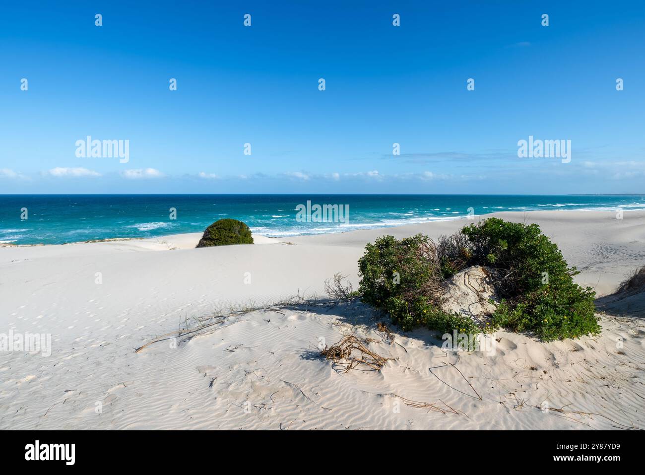 De Hoop Nature Reserve, a nature reserve in the Western Cape Province ...