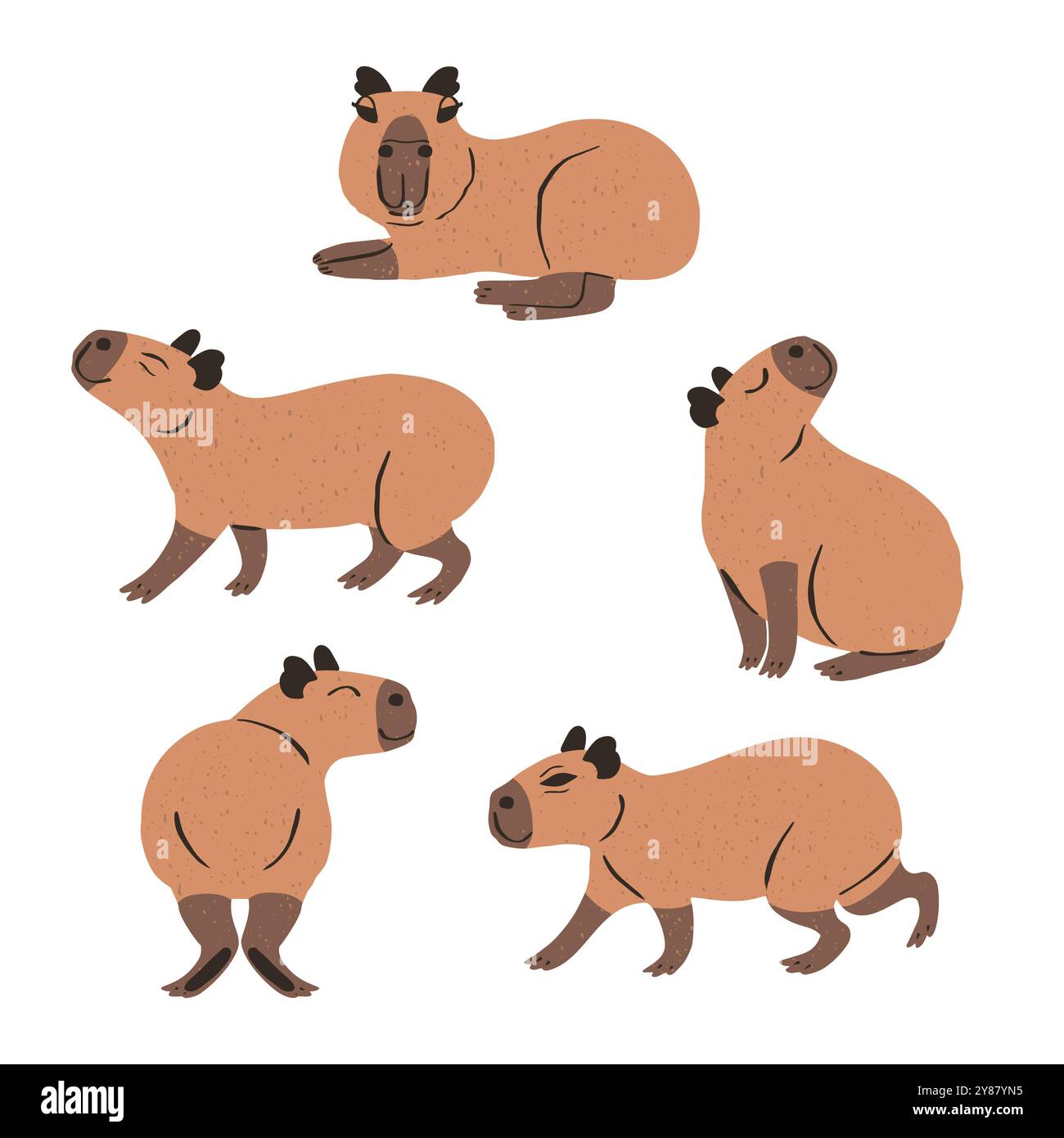 Capybaras set hi-res stock photography and images - Alamy