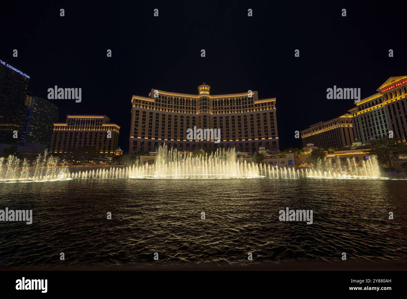 Fountains of Bellagio lit up during night with iconic Bellagio Hotel in background on Las Vegas ...