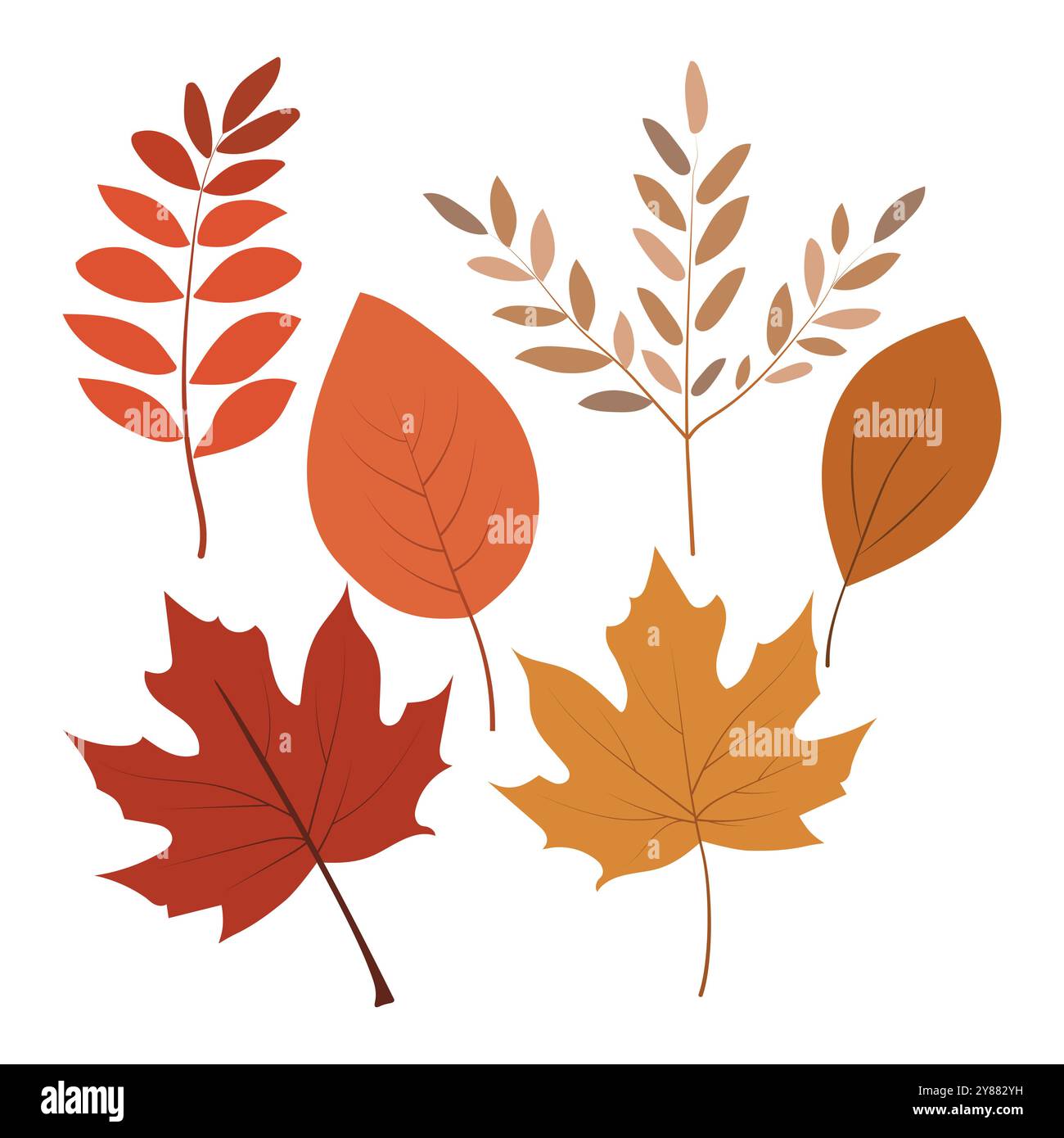 Set of autumn leaves. Simple autumn tree leaves Stock Vector Image ...