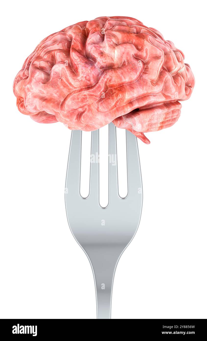 Fork with Human Brain, 3D rendering isolated on white background Stock Photo - Alamy