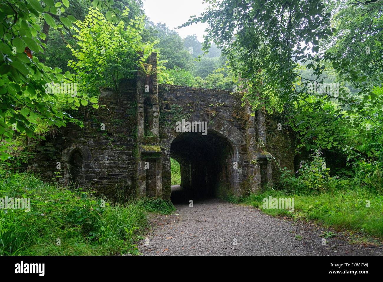 Moss covered bridge hi-res stock photography and images - Alamy