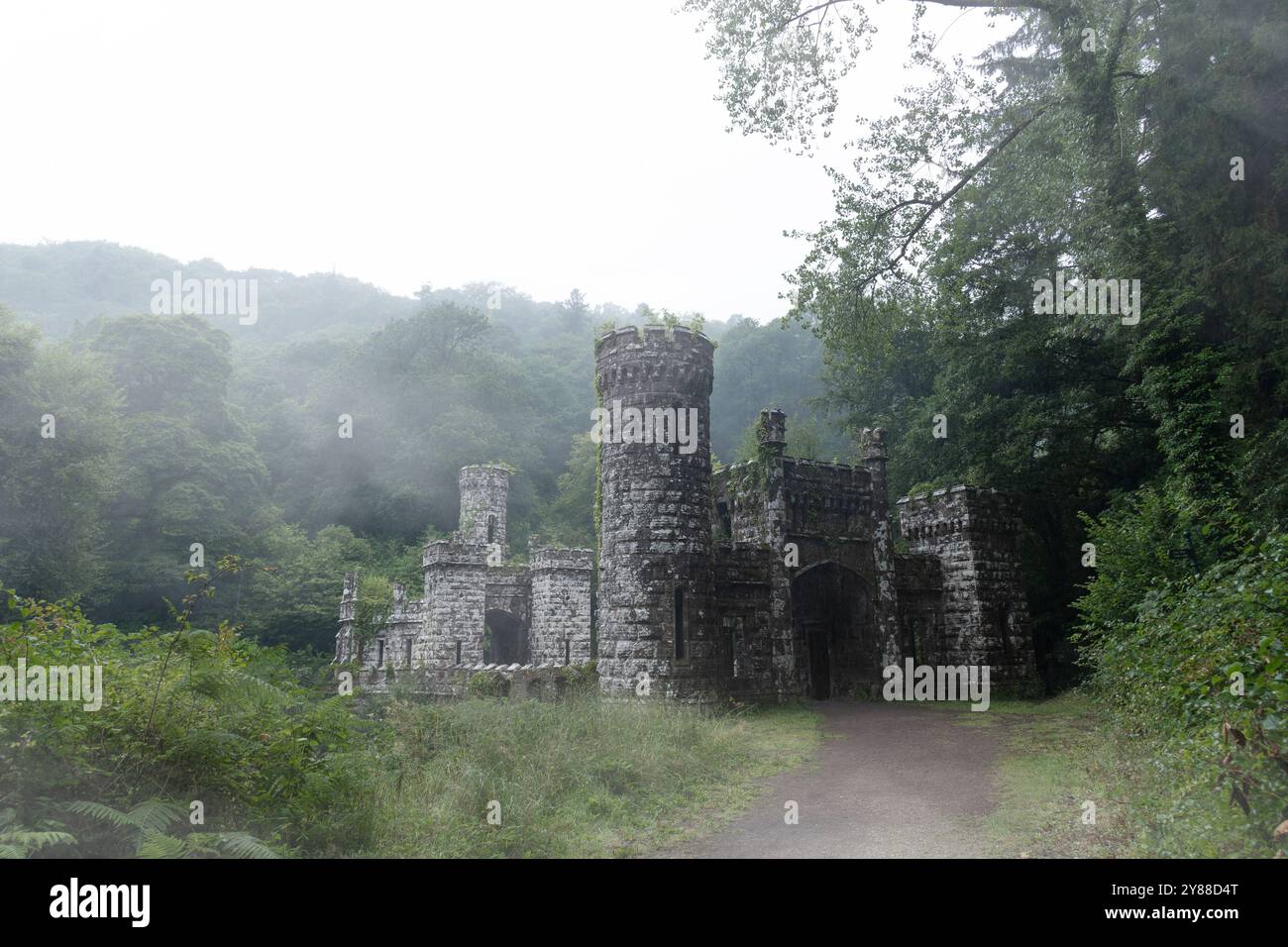 Lismore forest hi-res stock photography and images - Alamy