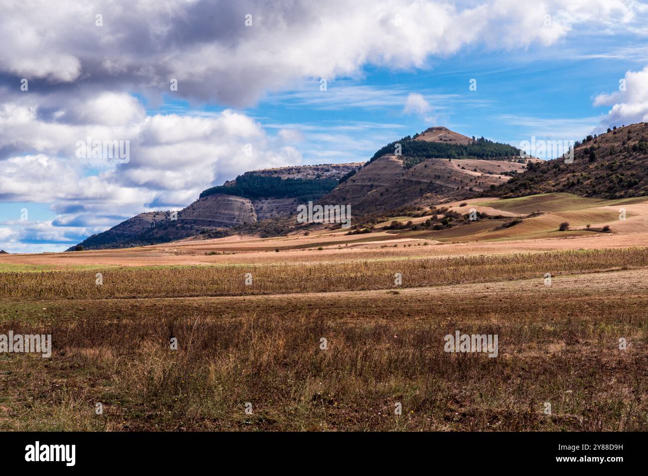 Paisaje de estepa hi-res stock photography and images - Alamy