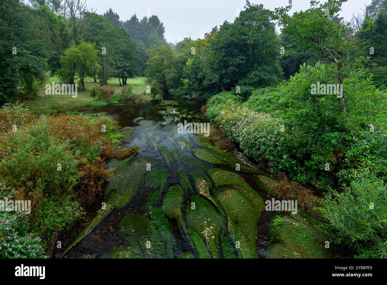 Flowing Water Under Durrow Viaduct Near Waterford, Ireland – Natural ...